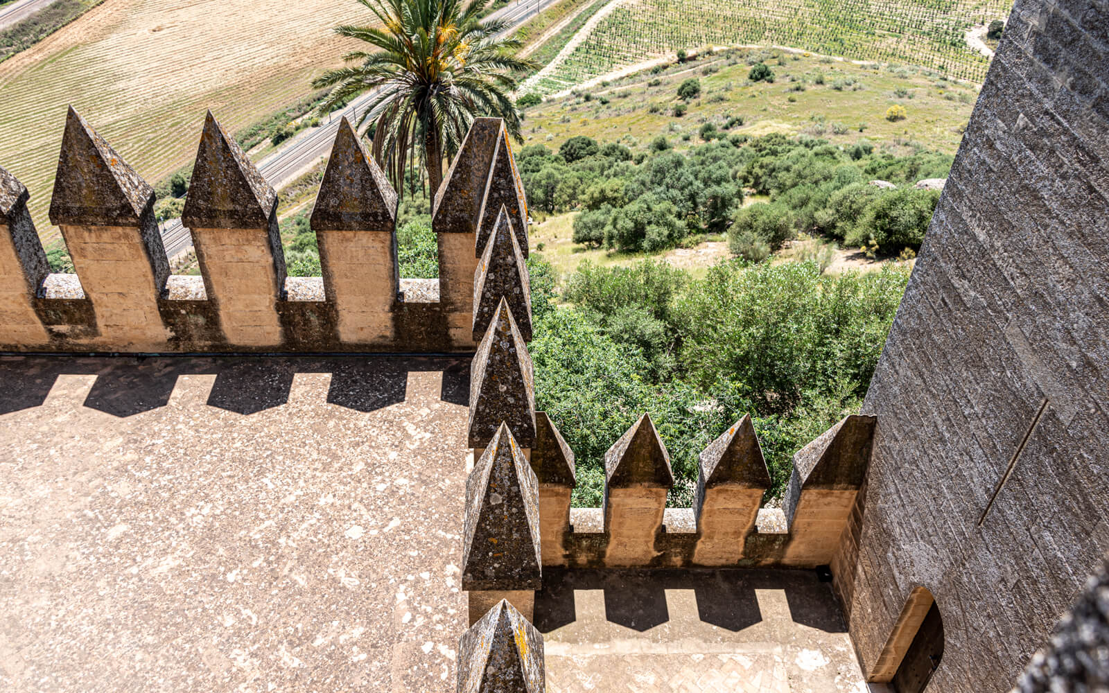 We offer you a selection of photos of the architecture of Almodóvar ...